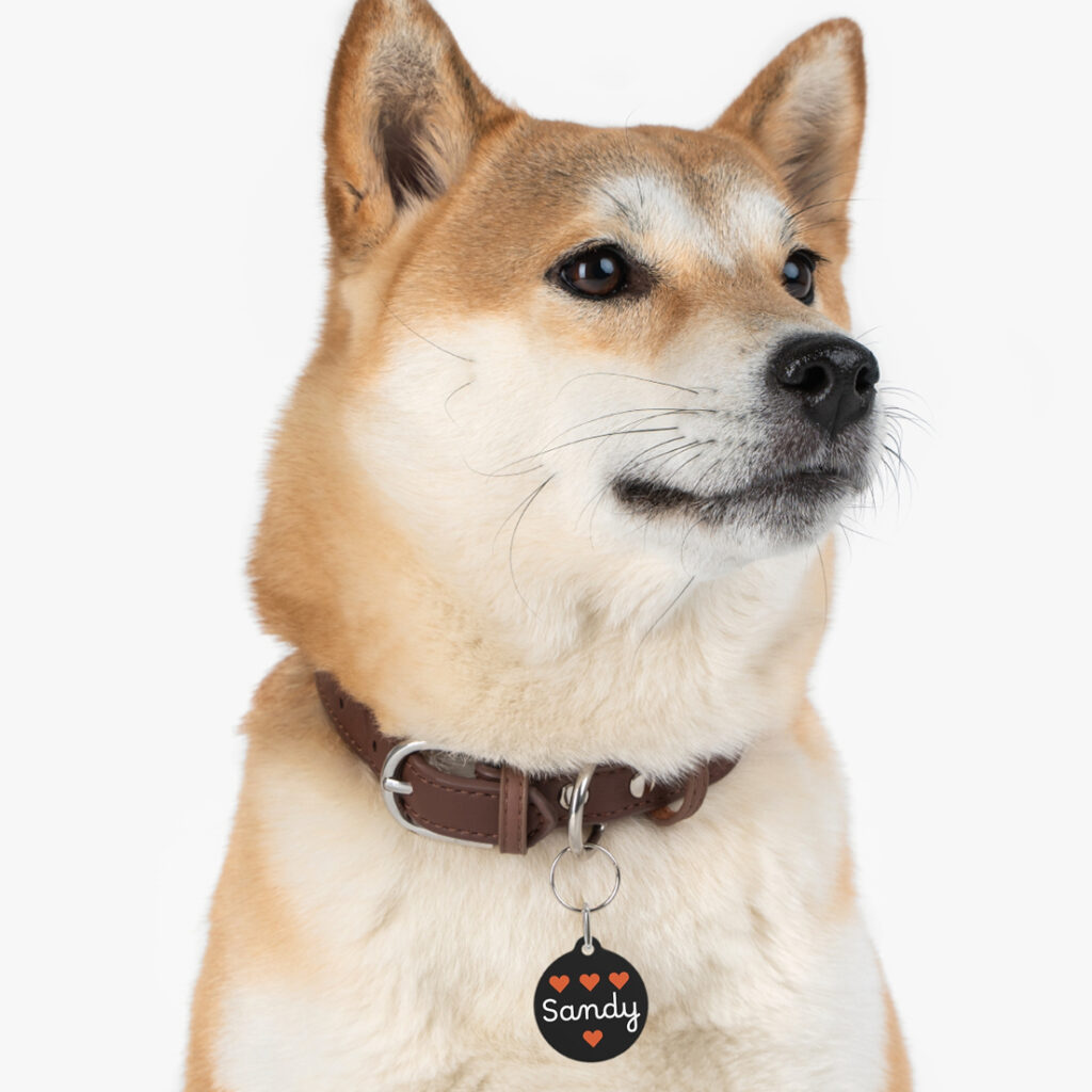 Create custom dog tags for your pets or selling online