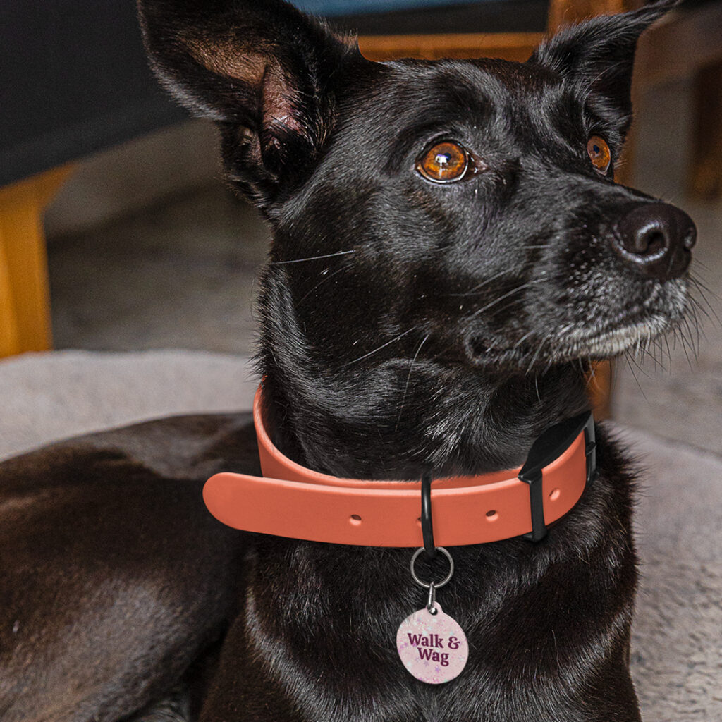 Create custom dog tags for your pets or selling online