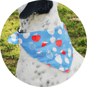 Create Personalized Custom Dog Bandanas – No Money Upfront