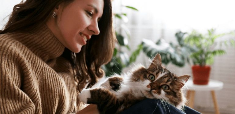 What is a Niche? 5 Examples of Print on Demand Niche Ideas