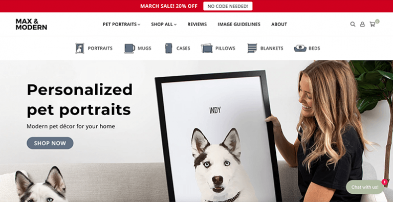 The Best Shopify Store Examples 2024 - Printify