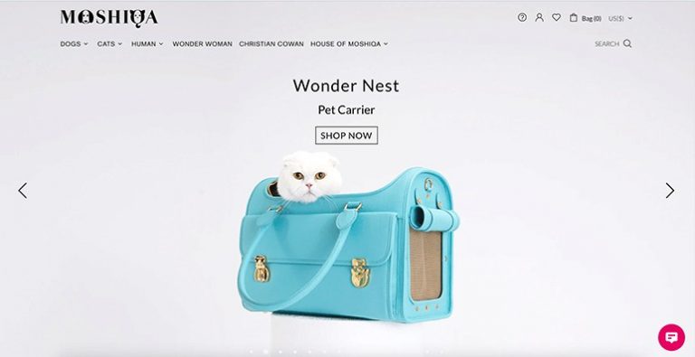 The Best Shopify Store Examples 2024 - Printify