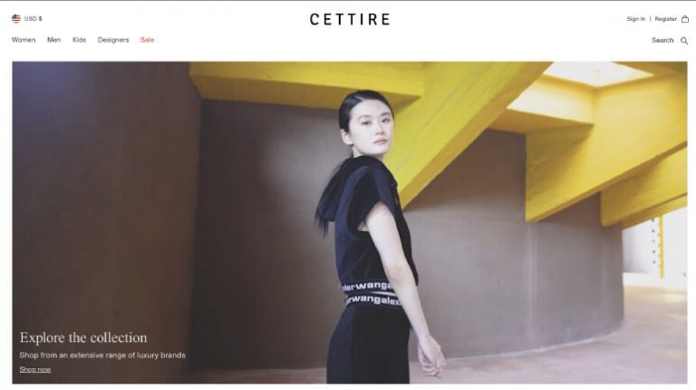 Most Successful Shopify Stores and Their Lessons - Printify