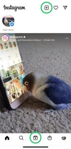 How to Make a Reel on Instagram: Ultimate Guide – Printify