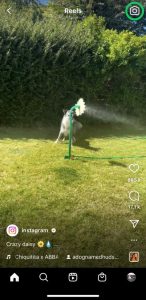 How to Make a Reel on Instagram: Ultimate Guide – Printify