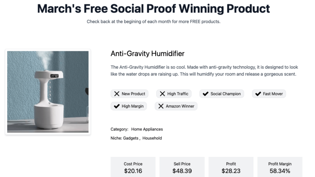 Dropshipping Product Research: Top 7 Tools - Printify
