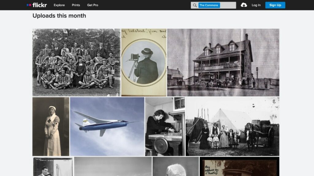 Top 15 Public Domain Picture Websites for Free Images