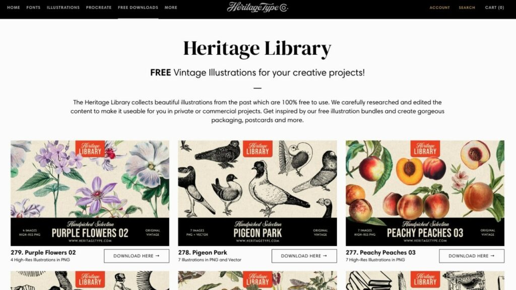 Top 15 Public Domain Picture Websites for Free Images