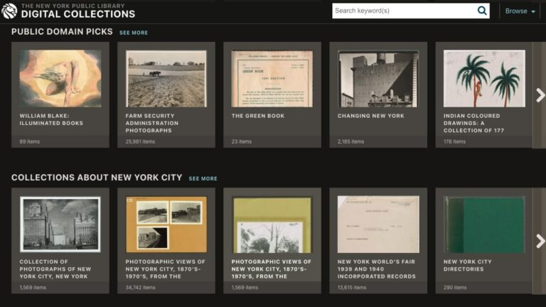 Top 15 Public Domain Picture Websites for Free Images