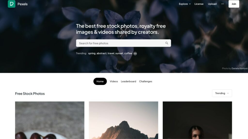 Top 15 Public Domain Picture Websites for Free Images