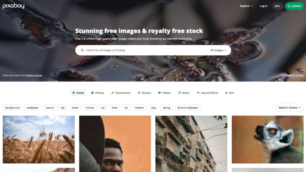 Top 15 Public Domain Picture Websites for Free Images