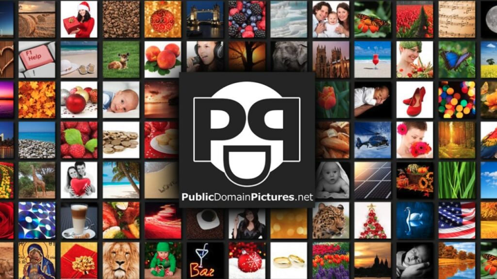 Top 15 Public Domain Picture Websites for Free Images