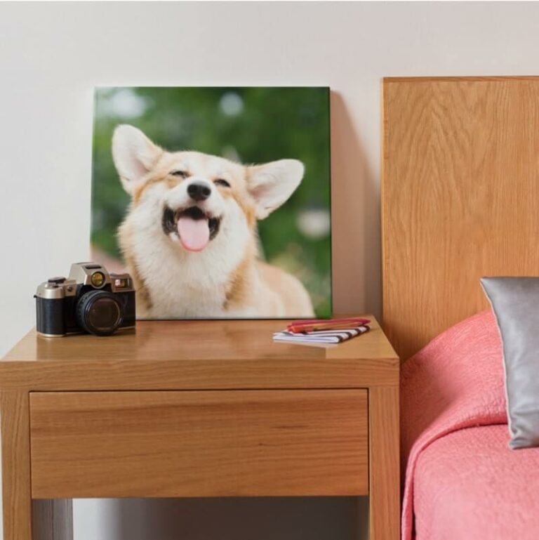 Personalised Canvas Prints | Order Your Own Artwork