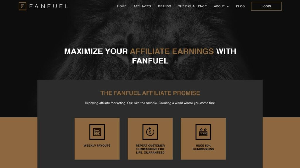 15 Best Affiliate Marketing Programs for Beginners