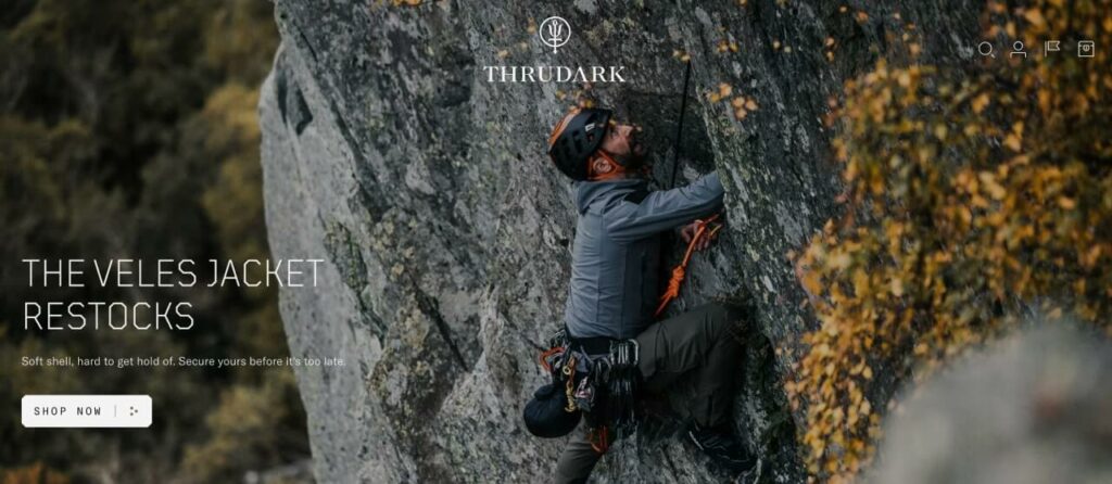 50 Best Shopify Store Examples for 2024