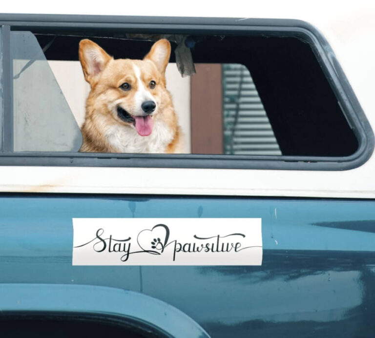 Design Custom Bumper Stickers Online