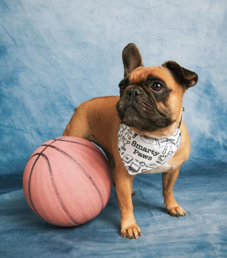 Custom Pet Gifts for Pets and Pet Owners