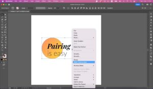 How to Create Custom Designs With Adobe Illustrator?