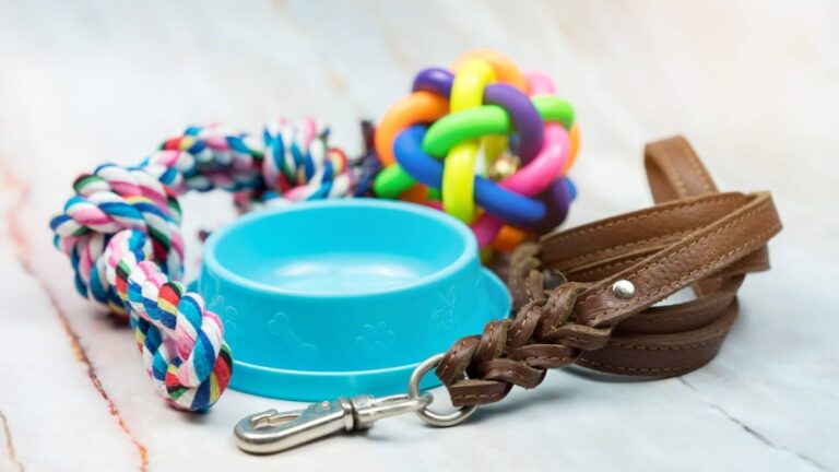 Top Selling Items on eBay in 2026