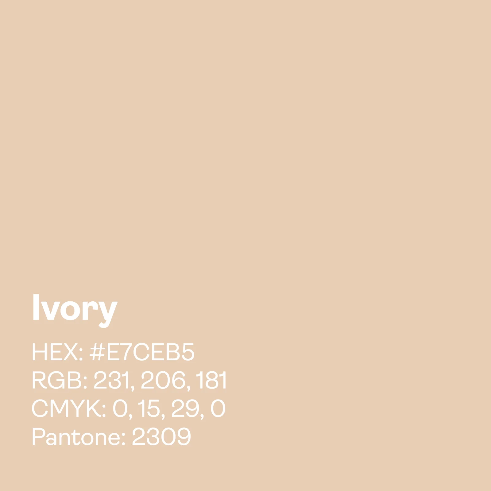 Comfort Colors Color Chart Guide (2025) | Ecommerce Fastlane