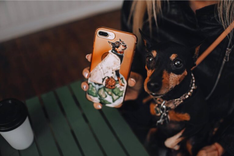 27 Phone Case Designs That Sell in 2026
