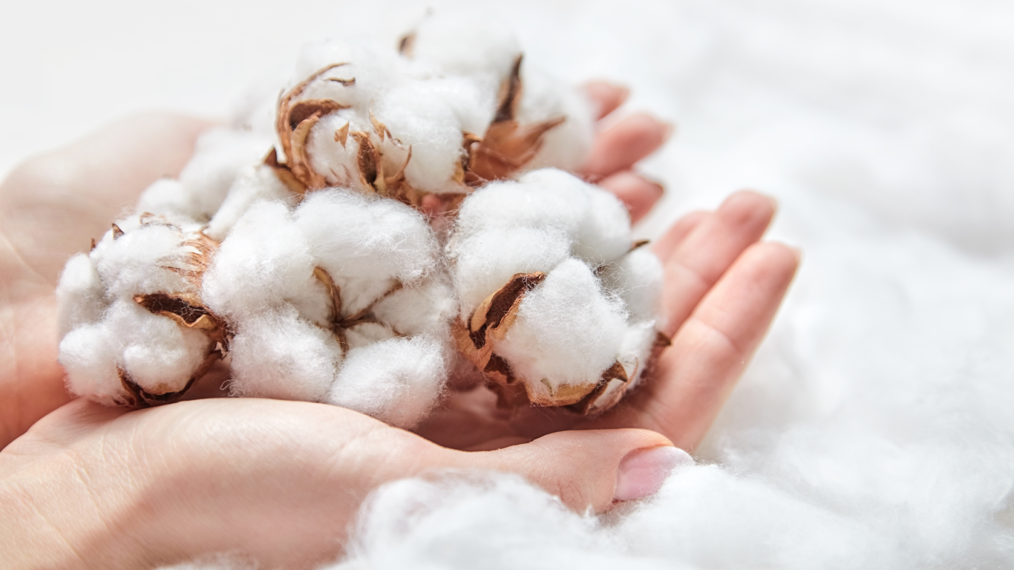 What is the softest material for hoodies?