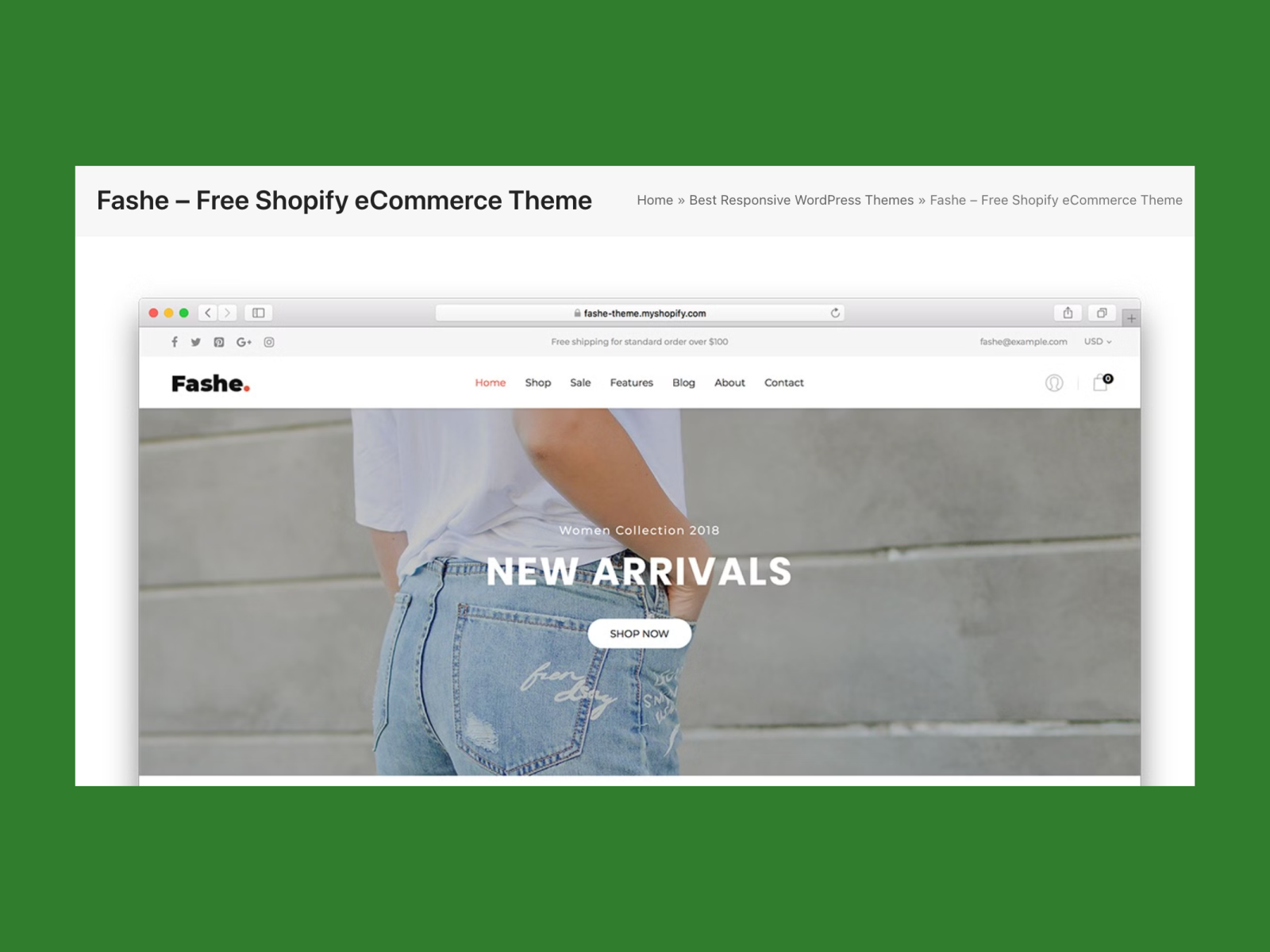 30 Best free Shopify themes (2026)