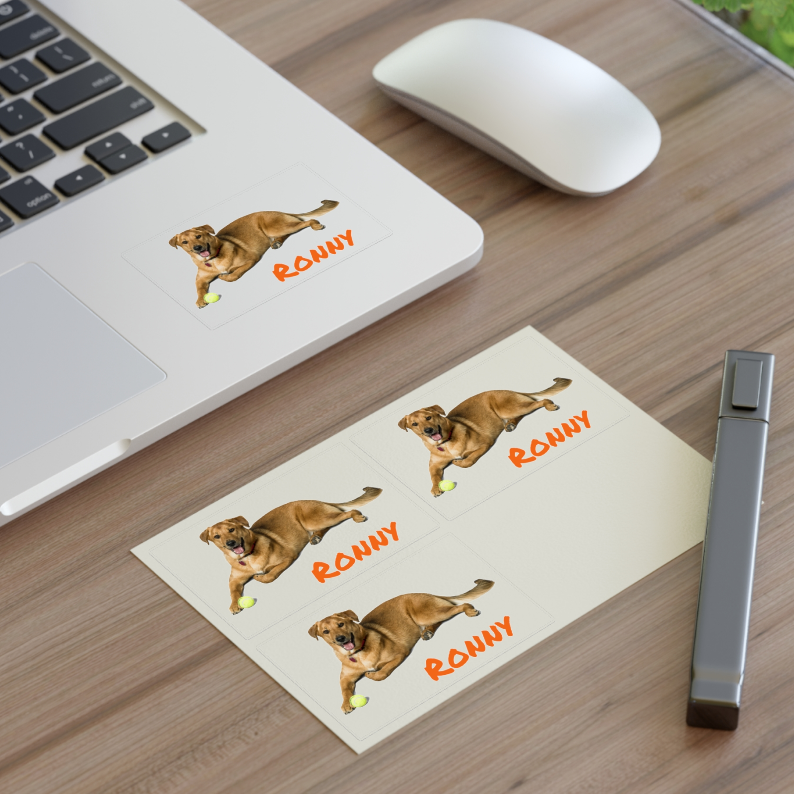 57 Sticker design ideas to create and sell