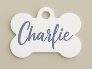 Create custom dog tags for your pets or selling online